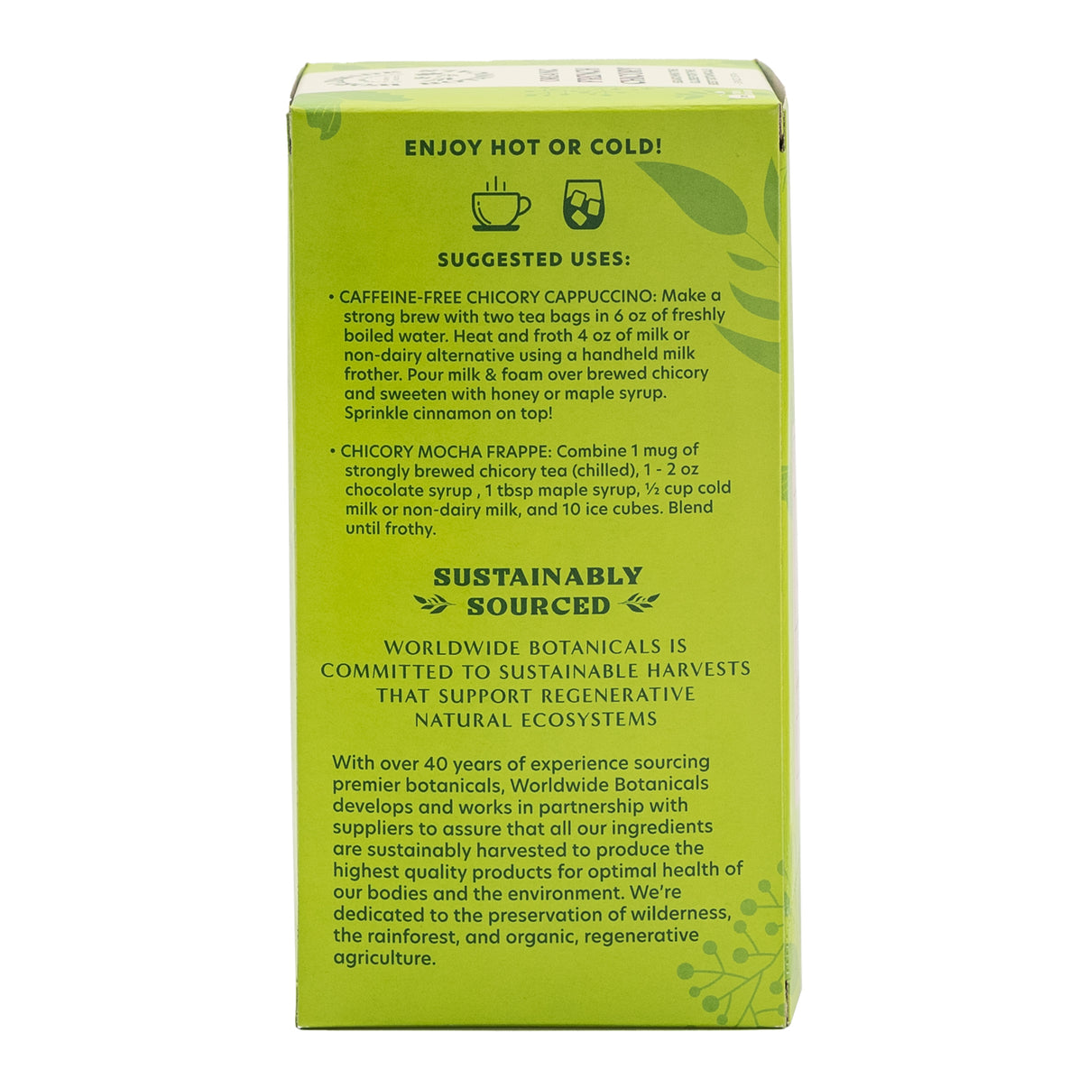 Organic French Chicory Tea – Worldwidebotanicals